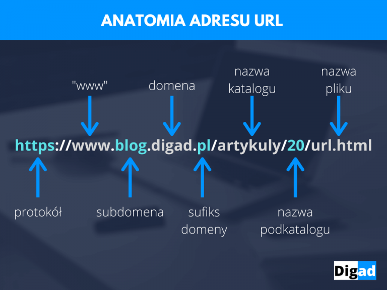 Co to jest adres URL? 5 części składowych adresu URL - Digad.pl